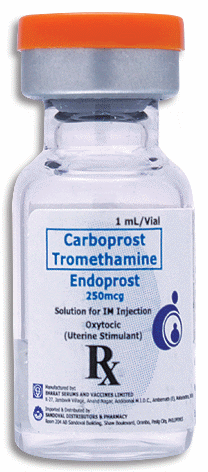 EVAPROST Carboprost Trometamol 250mcg / mL Solution for IM Injection ...